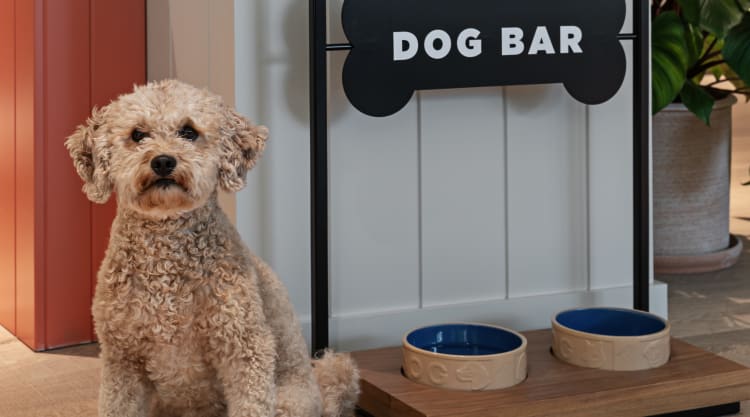 Chiswick Loaf Shack | Furniture Showroom | Loaf